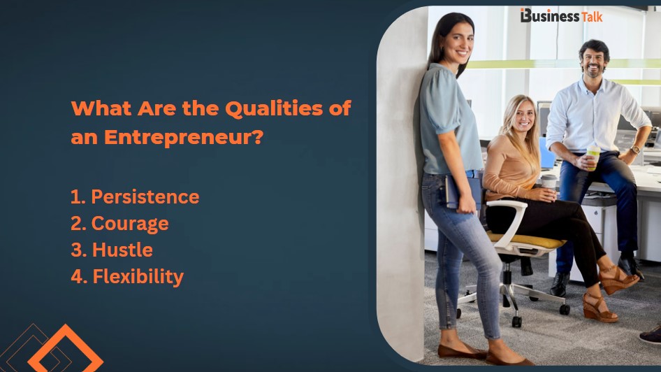 What is the Role of Entrepreneur? - iBusiness Talk