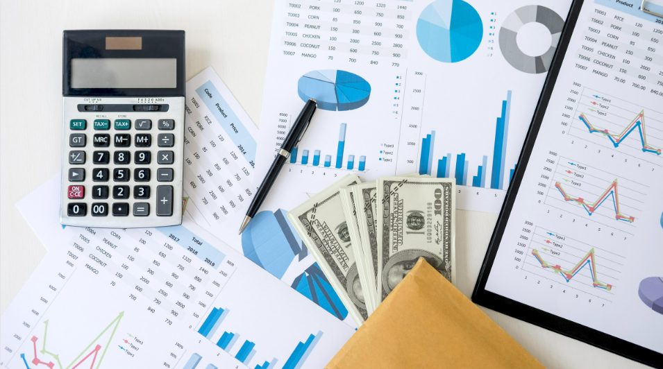 Why is the Finance Department Important in a Business? - iBusiness Talk