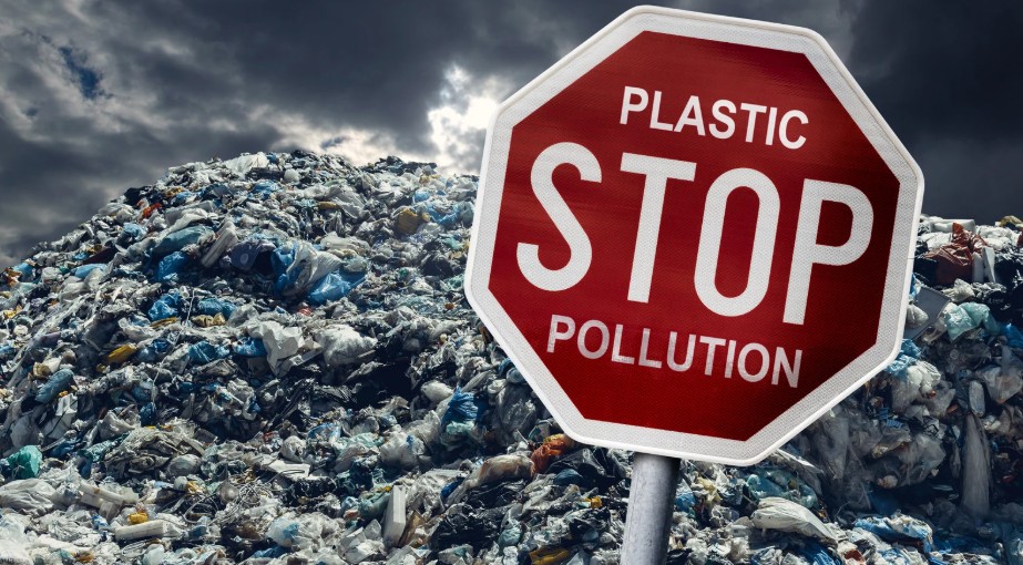 Choosing Planet Over Plastic: Small Swaps That Actually Stick